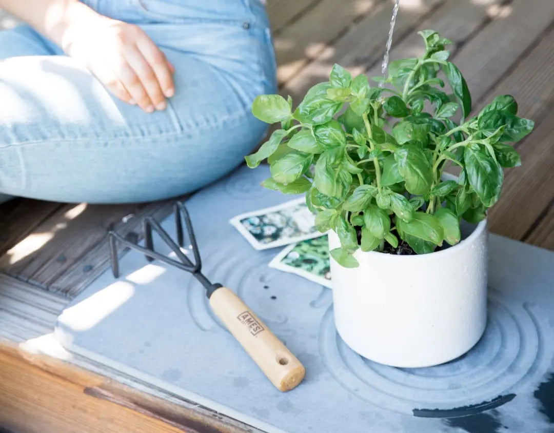 Preparing Your Garden For Spring? 9 Spring Gardening Tips | Dorai Home