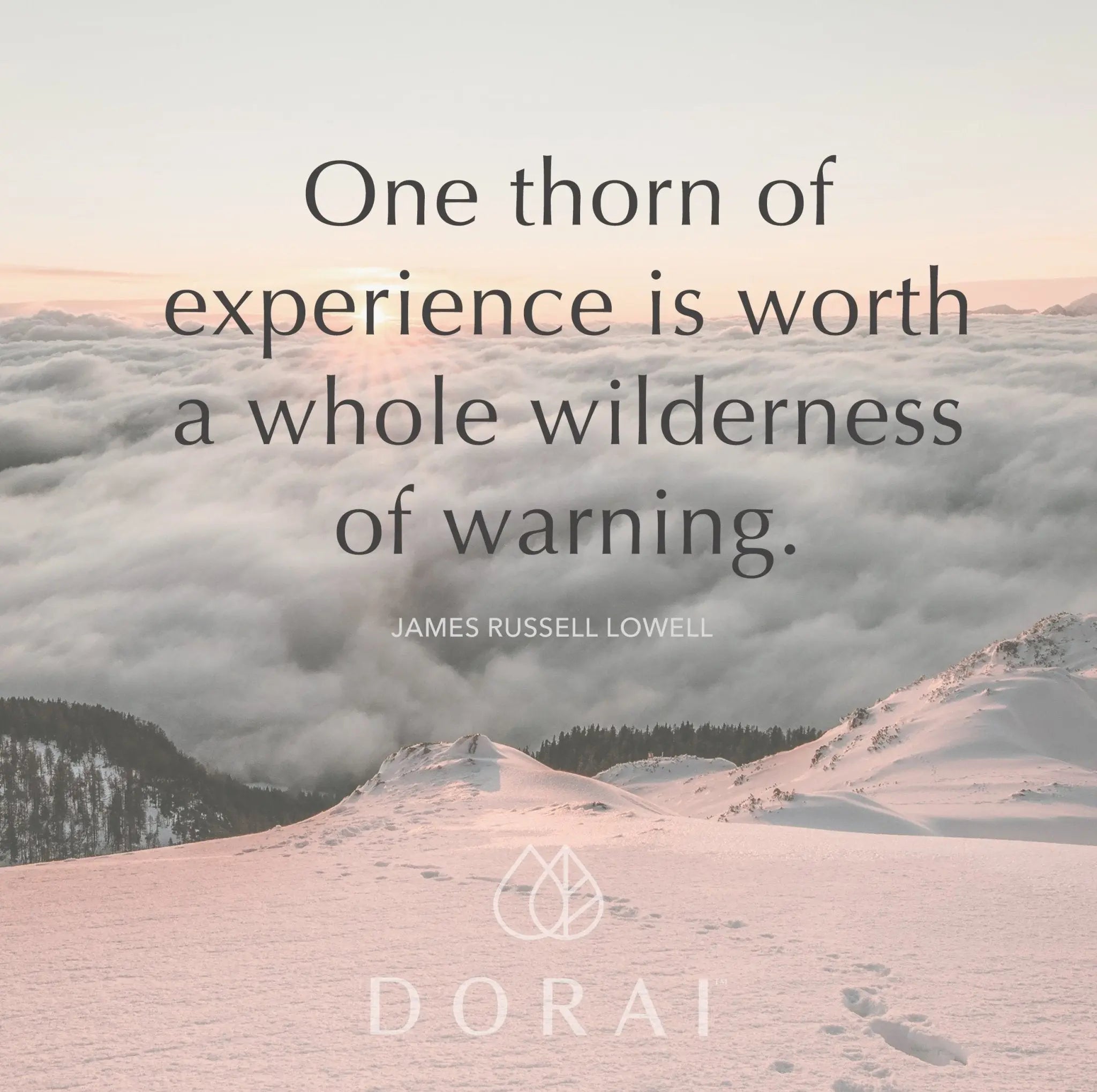 Update from the Founders on Dorai Pre-Orders & Kickstarter – Dorai Home