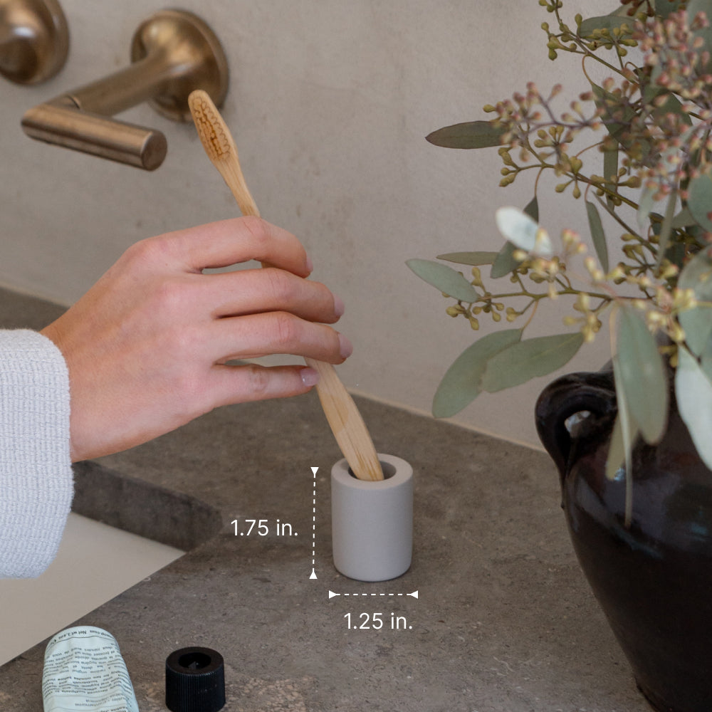 Single Toothbrush Holder | Keeps It Dry & Upright | Dorai Home