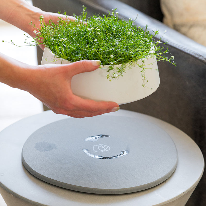 Large Stone Saucer | Versatile For Plants, Decor & More | Dorai Home